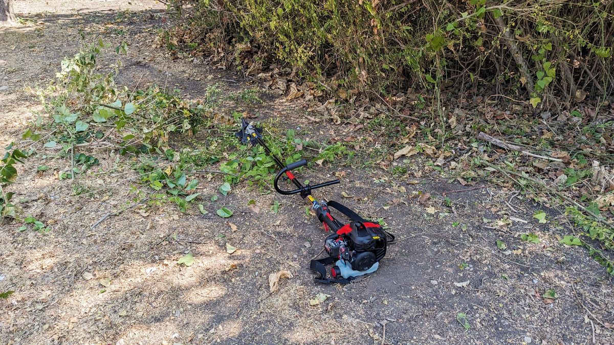 Troy-Bilt TB272BC XP Straight Shaft Brushcutter review | Top Ten Reviews