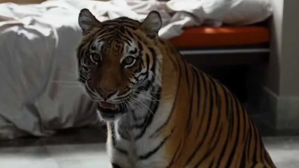 32 Of Alan’s Most Outrageous And Funniest Lines In The Hangover ...