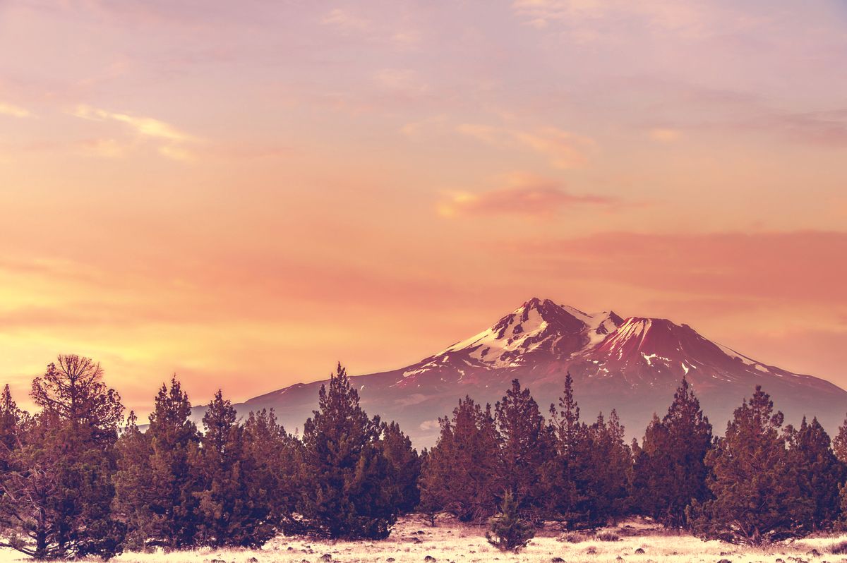 Learn how to unlock stunning natural colors in your photos | Digital ...