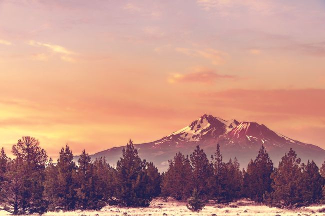 Learn how to unlock stunning natural colors in your photos | Digital ...