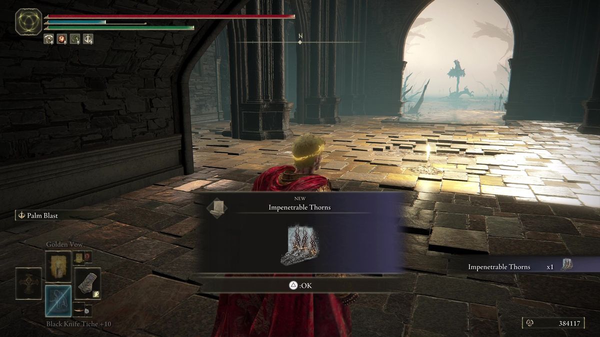 Shadow of the Erdtree Impenetrable Thorns location | GamesRadar+