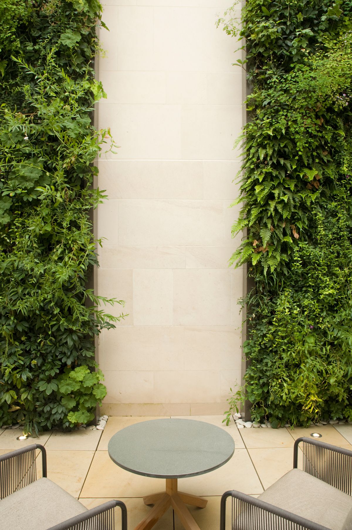 Rewilding – The Latest Trend In Garden Design