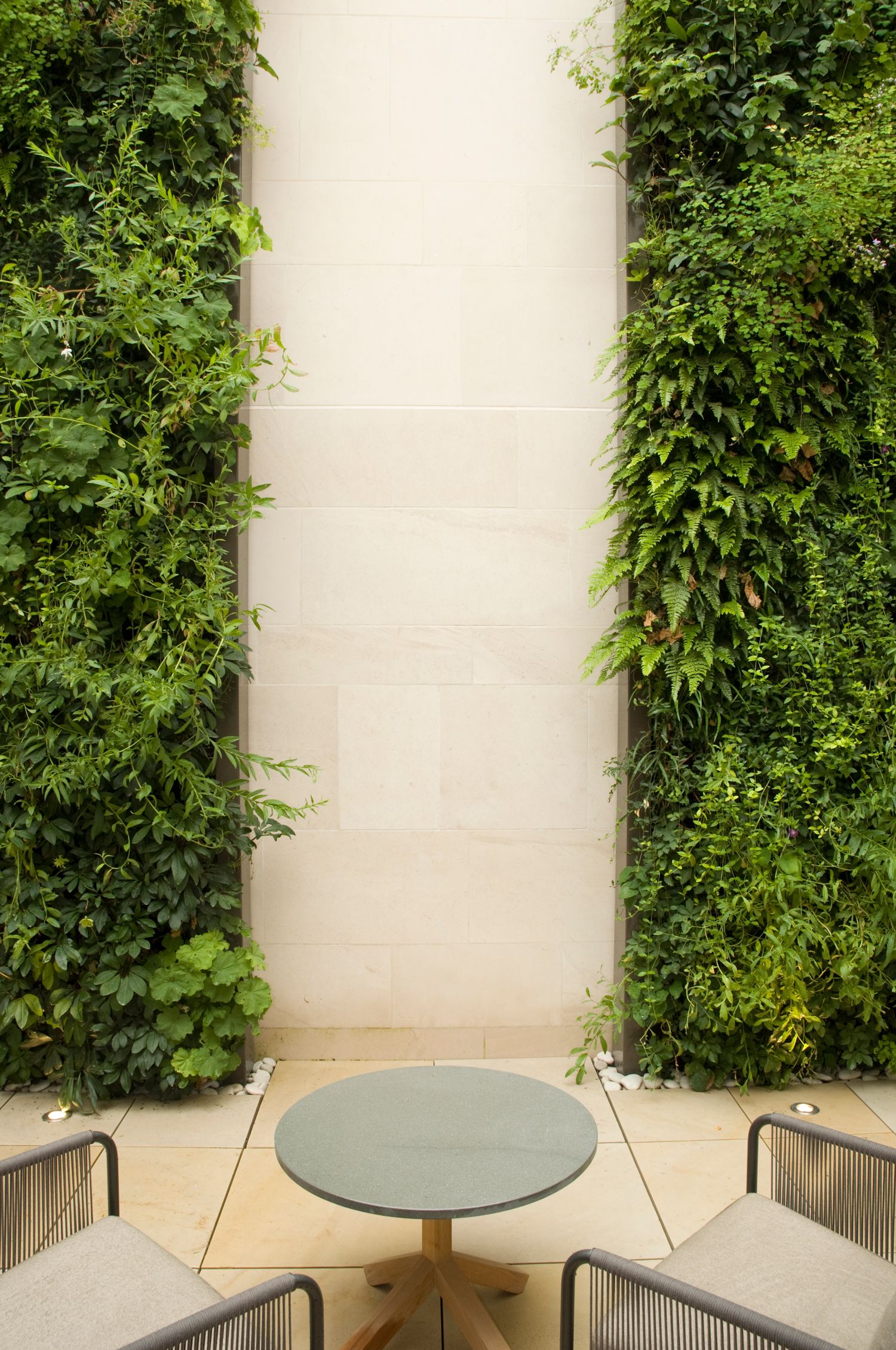 Rewilding – The Latest Trend In Garden Design