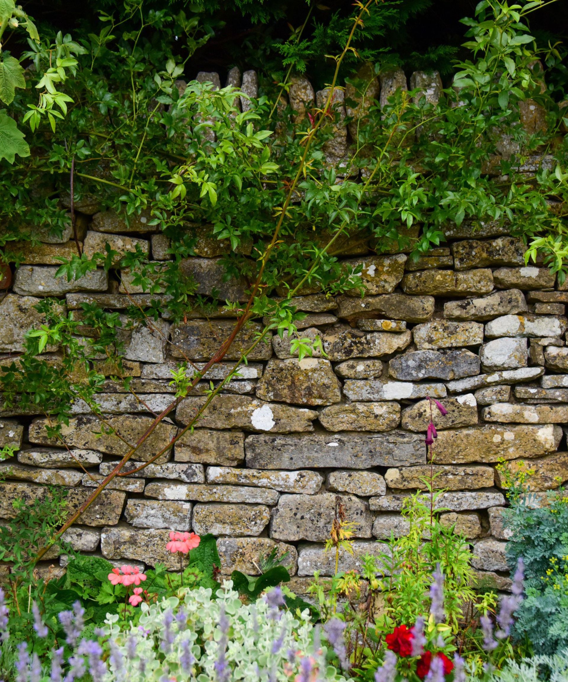 12 front yard privacy ideas to create a secluded space with | Real Homes