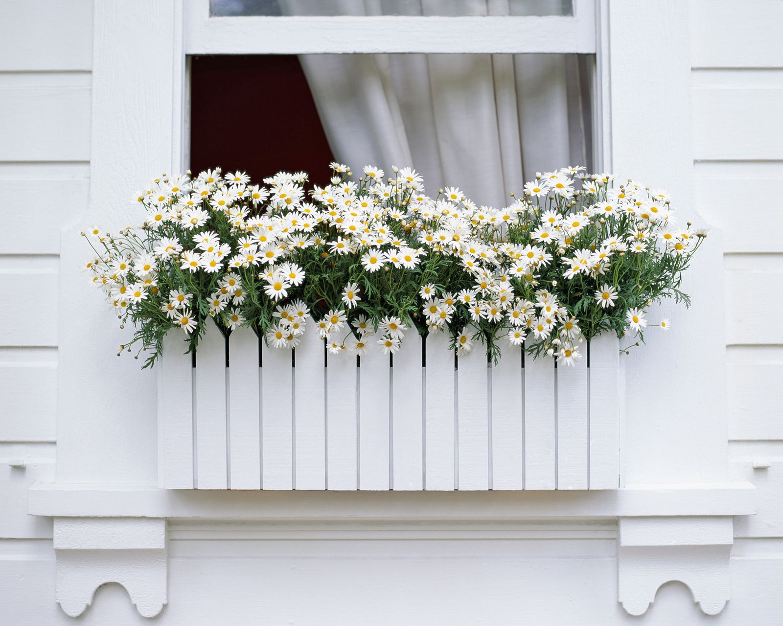 10 Beautiful Window Box Ideas For Flowers And Edibles | Gardening Know How