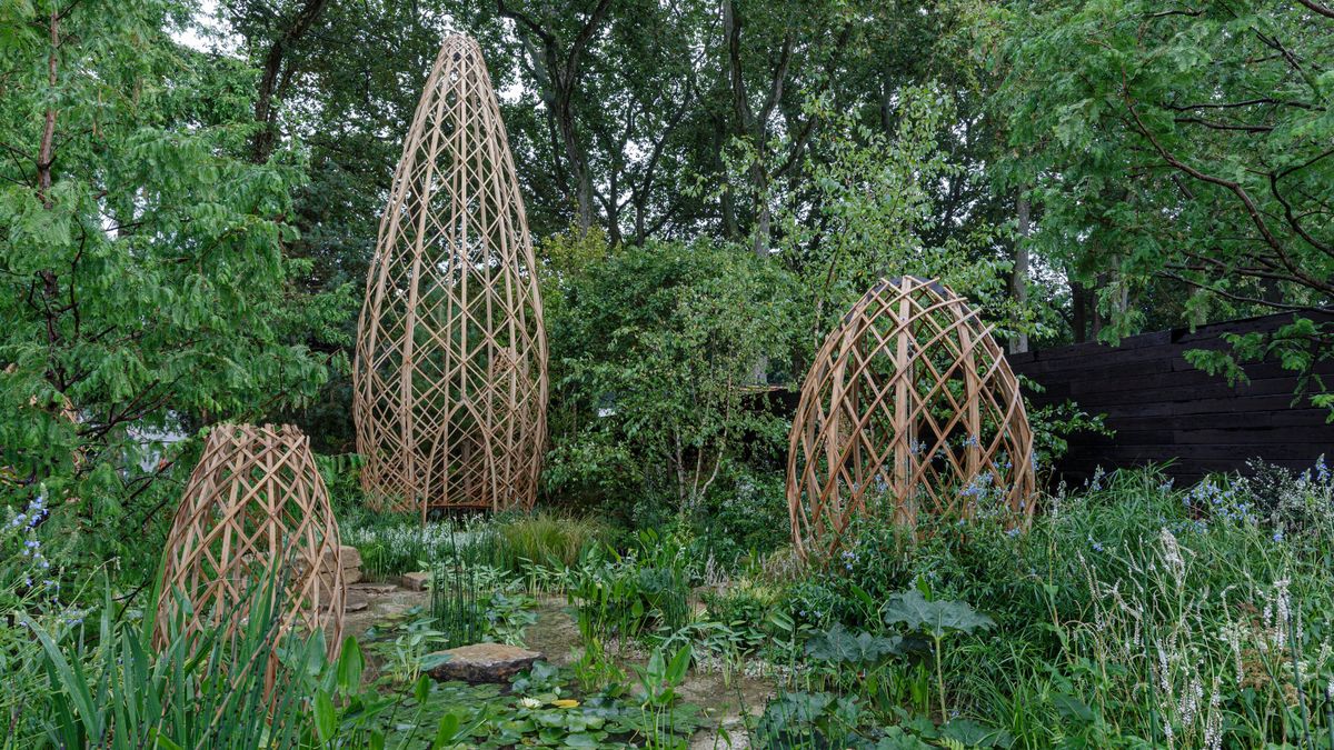 Chelsea Flower Show Best in Show 2021 revealed | Gardeningetc