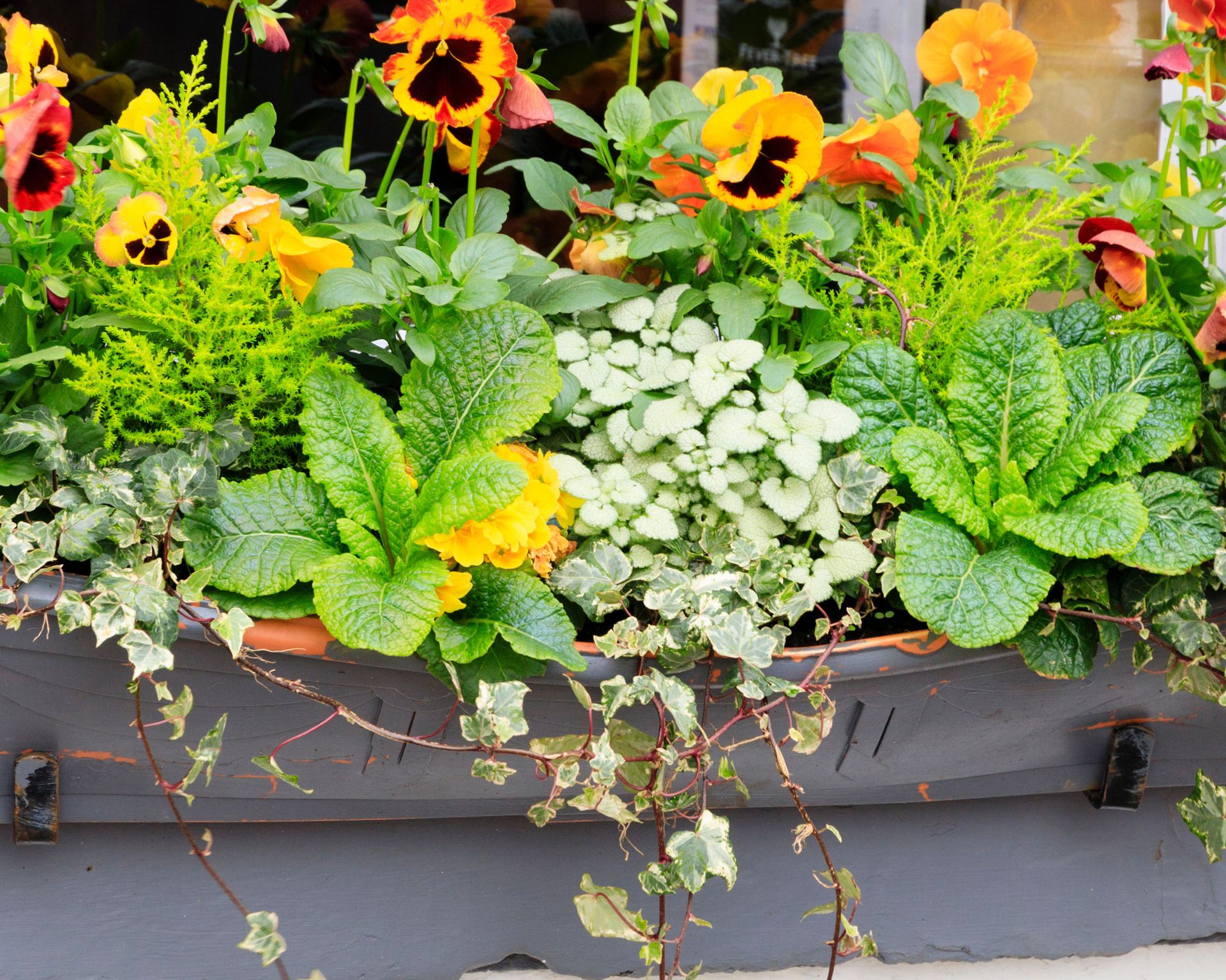 Fall window box ideas: 10 stylish looks for autumn | Gardeningetc