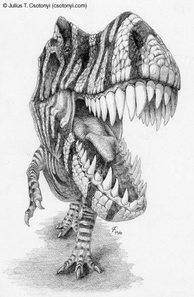 T. Rex's Bite More Dangerous Than Previously Believed | Live Science