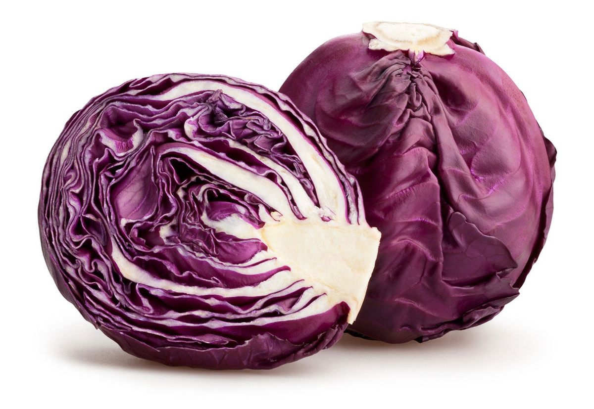 Ruby Ball Purple Cabbage – How To Grow Ruby Ball Cabbage Plants ...