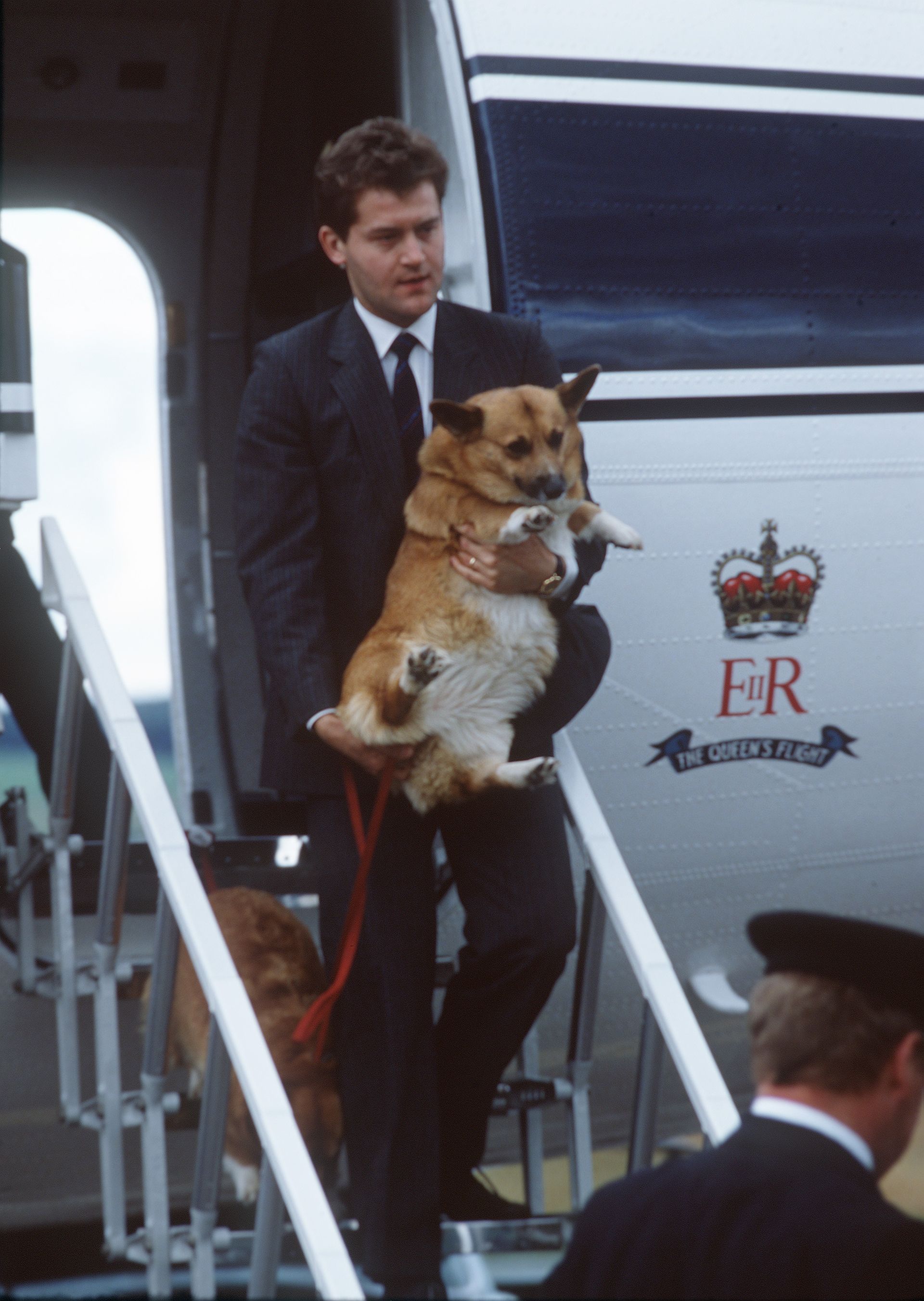 The Queen Didn't Hold Back When Philip Criticized Her Corgis | Marie Claire