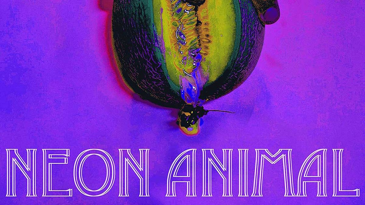 Neon Animal: Make No Mistake album review | Louder