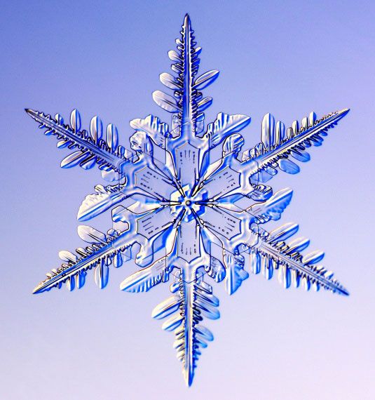 Snowflake Gallery: No Two Alike, of Course | Live Science