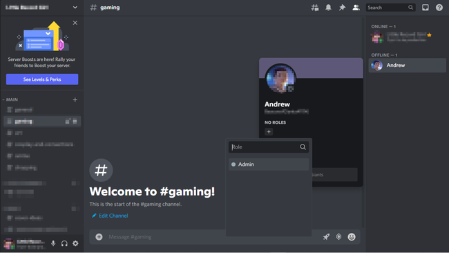 How to make a user an admin on your Discord server | TechRadar