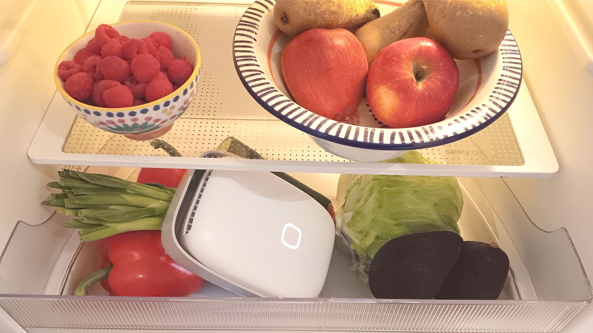 Vitesy Shelfy Fridge Freshener Review | Tom's Guide
