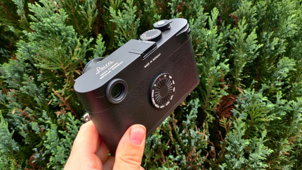 Leica M11-D review: digital photography with an analog heart | Digital ...