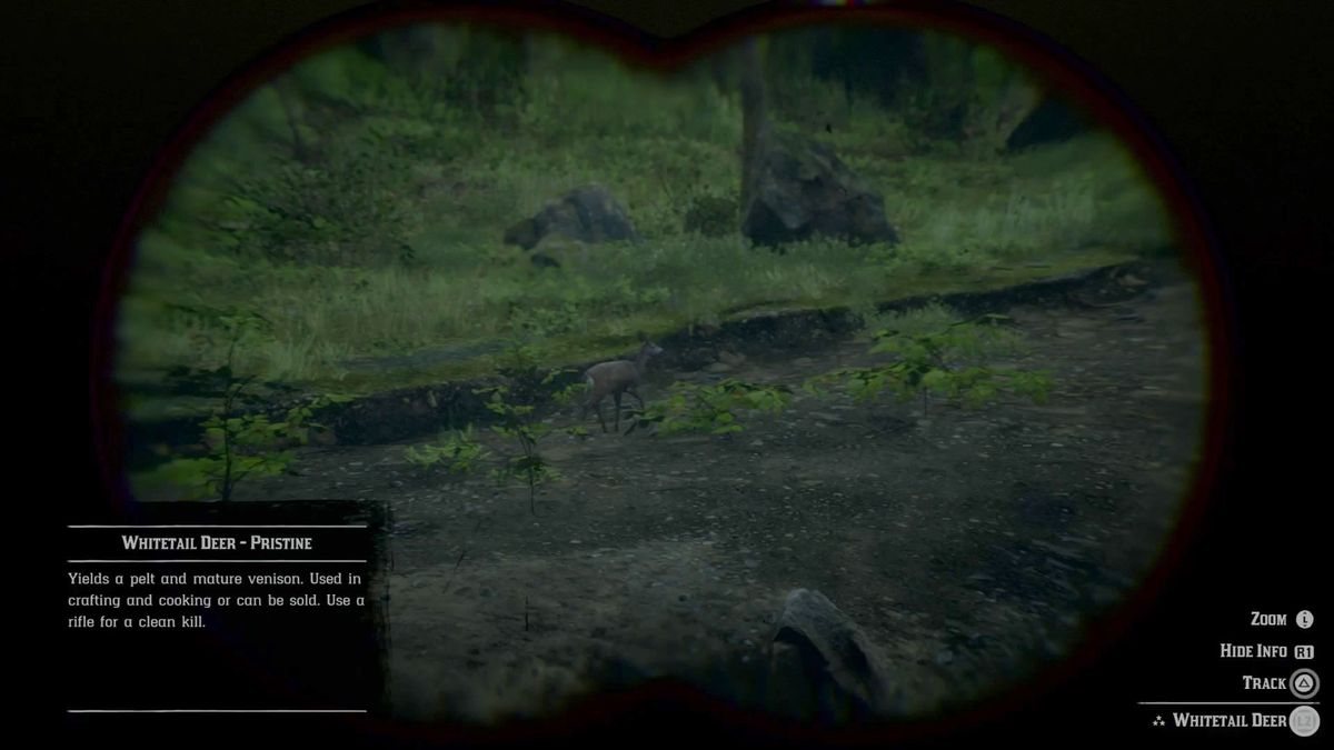 How to get Red Dead Redemption 2 Perfect Pelts and maximise your ...