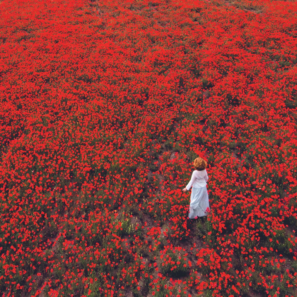 The Beauty of Ukraine: landscapes that are even more poignant amid the ...