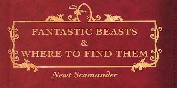 Fantastic Beasts Just Cast An Important Muggle Character | Cinemablend