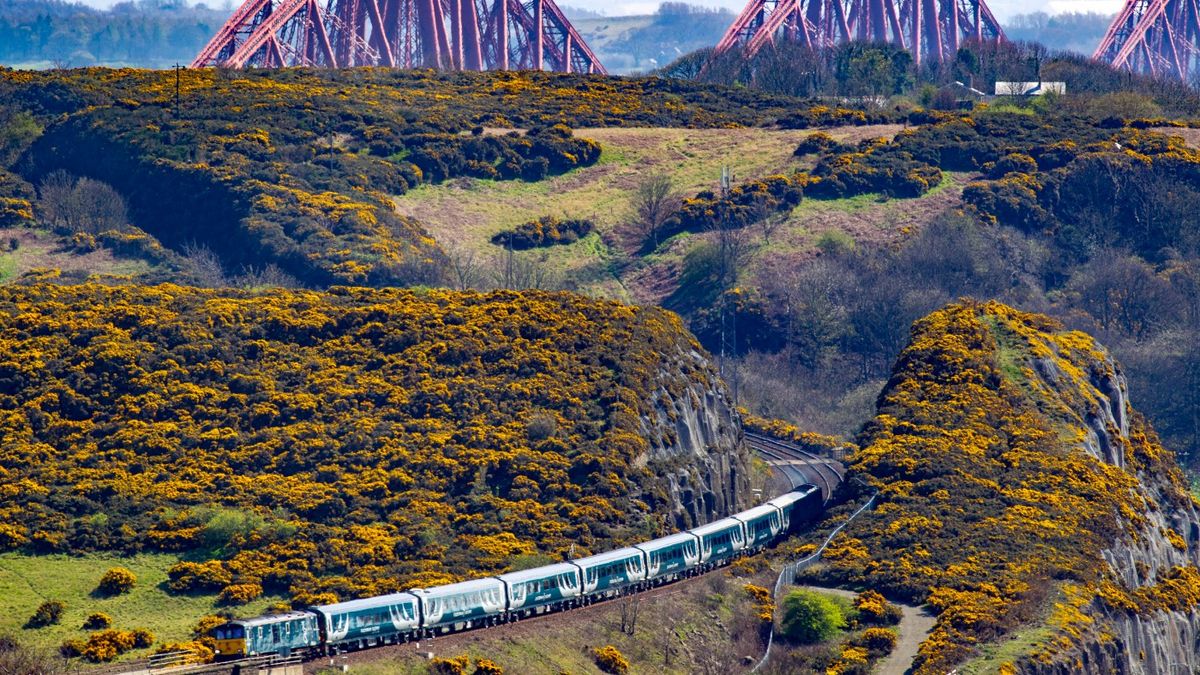 Review: Caledonian Sleeper train, London to Edinburgh, Scotland | The Week