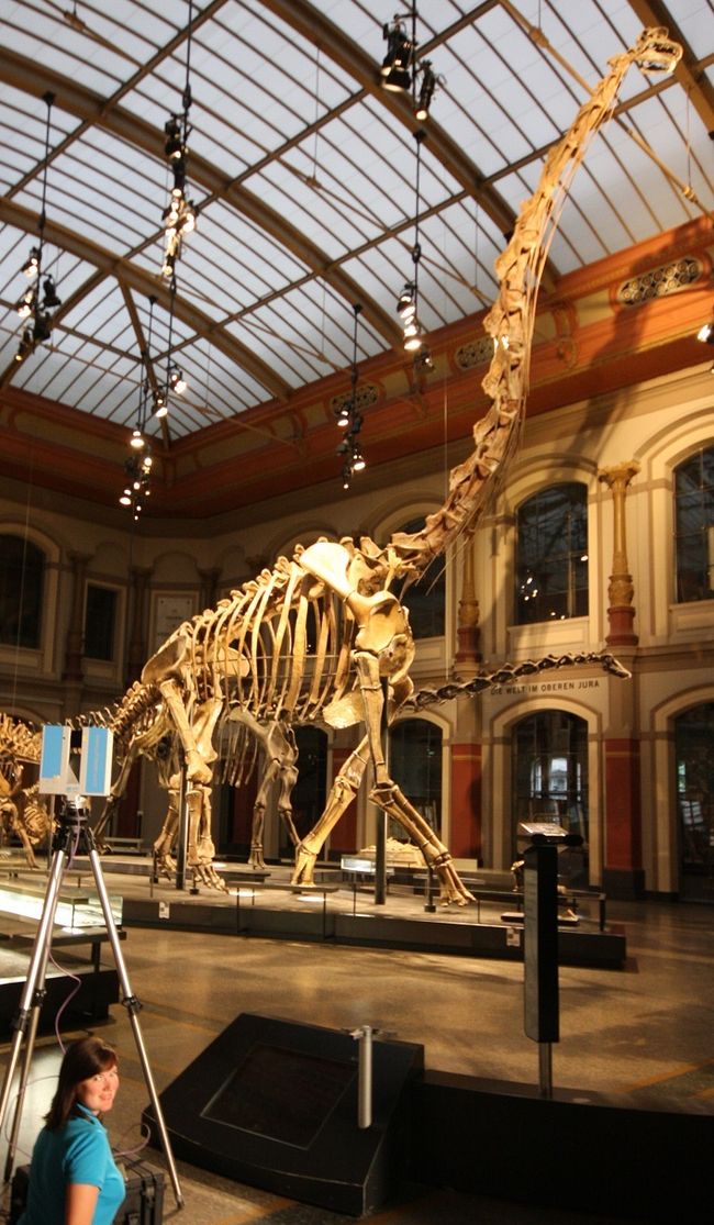 How Dinosaurs Grew the World's Longest Necks | Sauropods | Live Science
