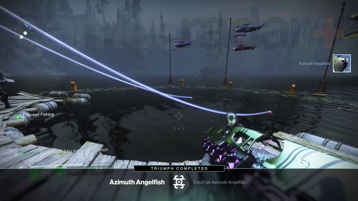 Destiny 2 fishing guide, Bait farm, and Focused Fishing | GamesRadar+