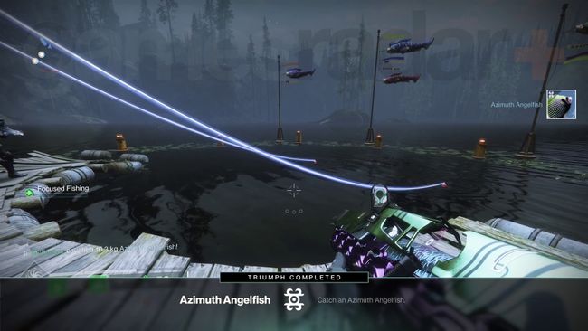 Destiny 2 fishing guide, Bait farm, and Focused Fishing | GamesRadar+