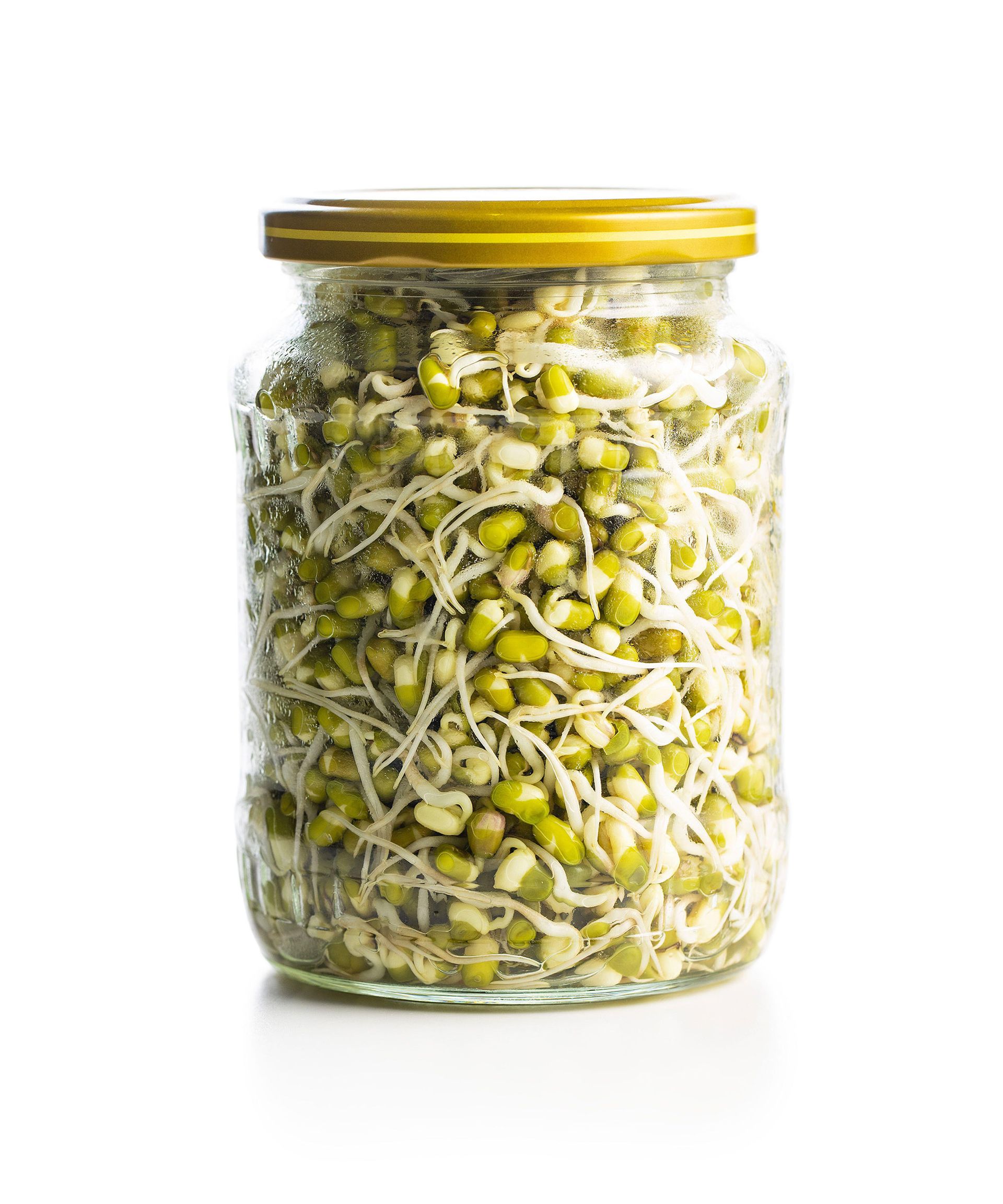 How to grow bean sprouts: simple tips for growing them at home ...