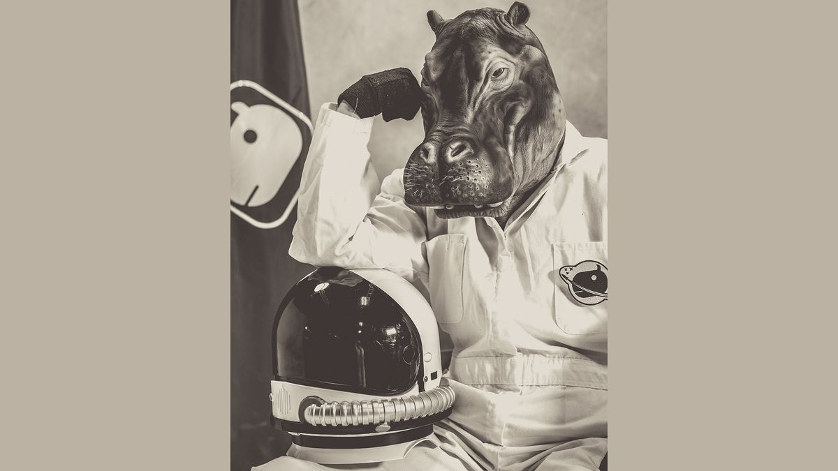 That Time a Bunch of Space Hippos Crashed Coachella (Photos) | Space