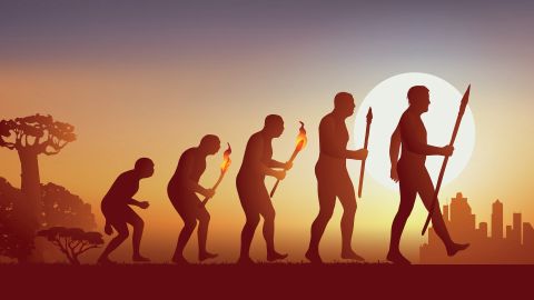 Sunlight shapes our evolution — and may explain why some people have ...