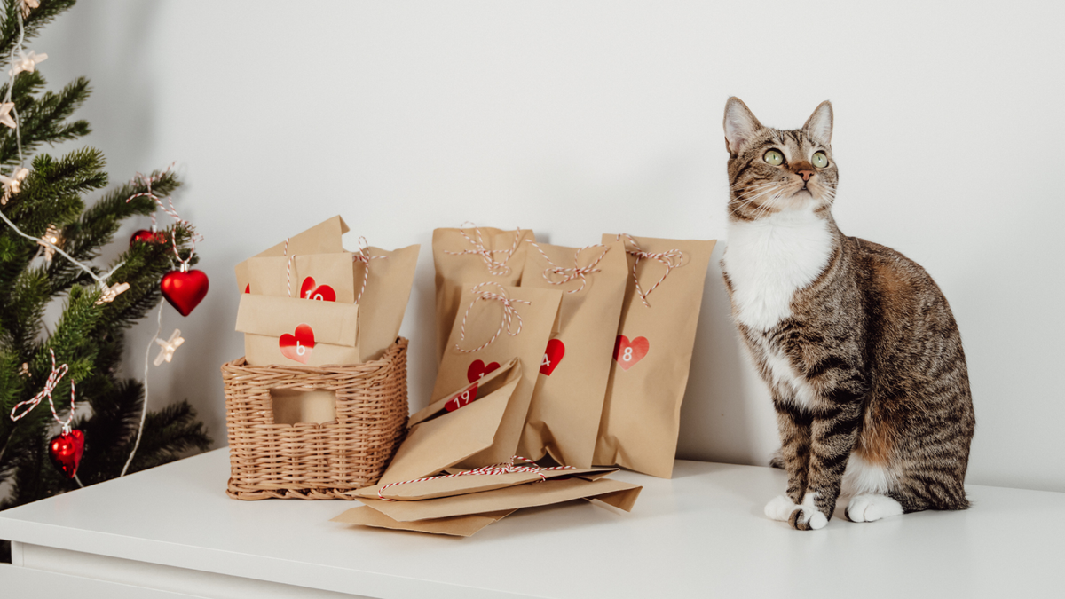 We’ve reviewed the best Advent calendars for cats 2026 to get in the ...