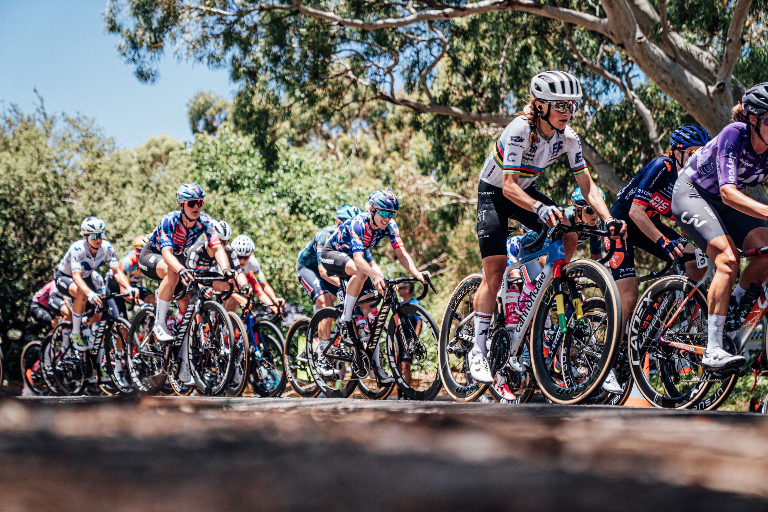 It could get to 40°C at the Tour Down Under this week – how hot is too ...