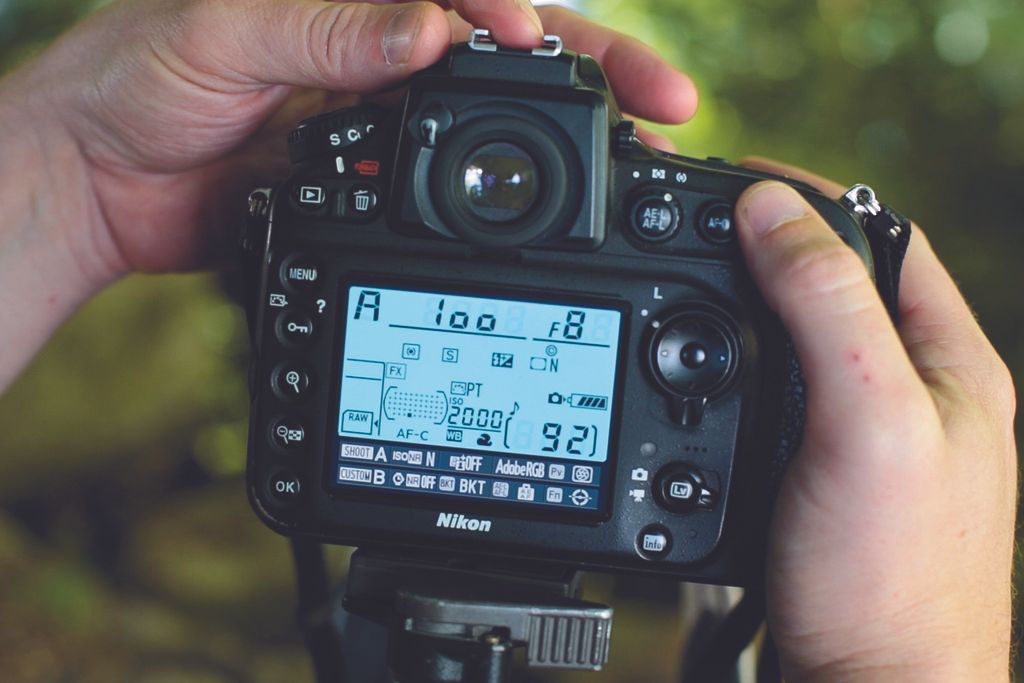 How to photograph wildlife using a wide-angle lens - Video tutorial ...