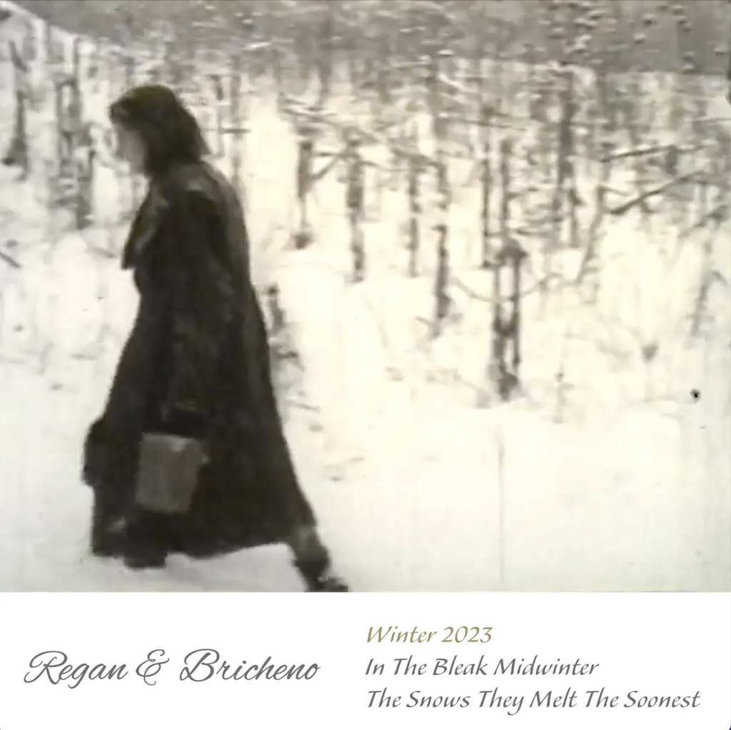 "A shared musical magic is rekindled." Julianne Regan and Tim Bricheno ...