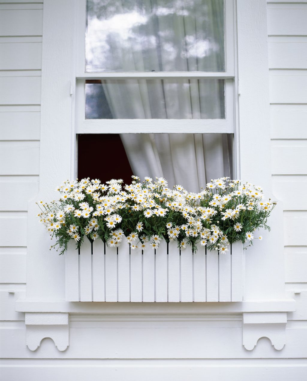 Window box ideas: 16 ways to make a stunning display full of flowers ...