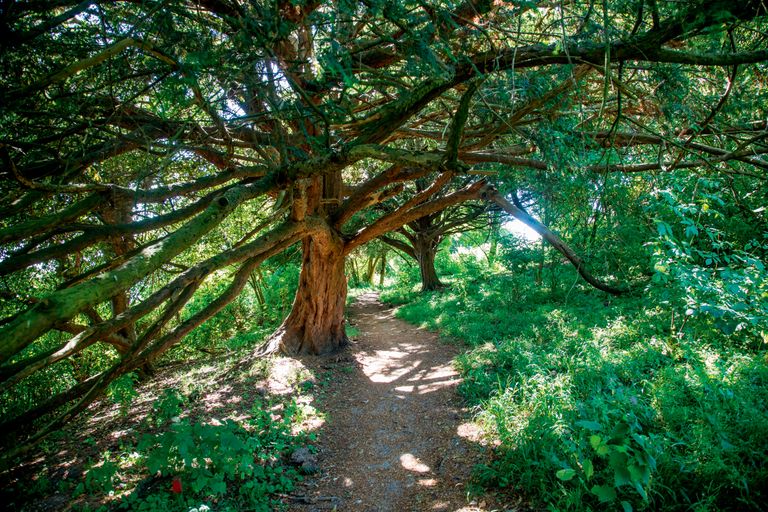 The Kent Downs AONB: One of Mother Nature's works of art, from the ...