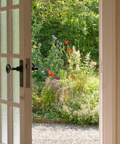 How to create a wildflower front yard: expert advice | Homes and Gardens