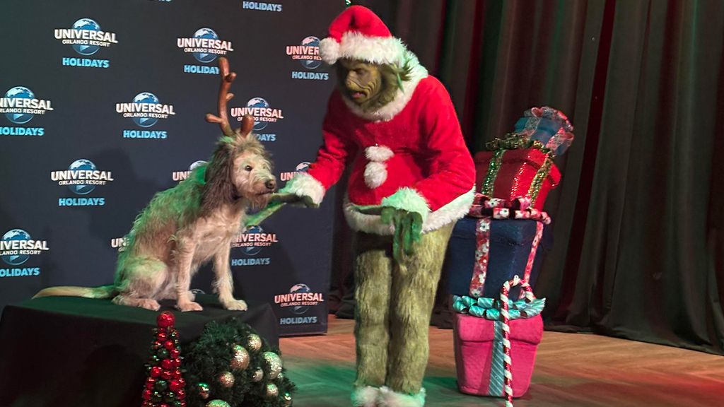 Meeting The Grinch At Universal Is A Hot Ticket Item. Three Cool Ways ...