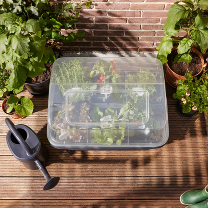 How to grow vegetables in a small garden: expert tips | Ideal Home