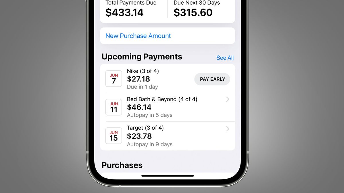 Apple Pay Later could make you qualify for its limited financial help ...