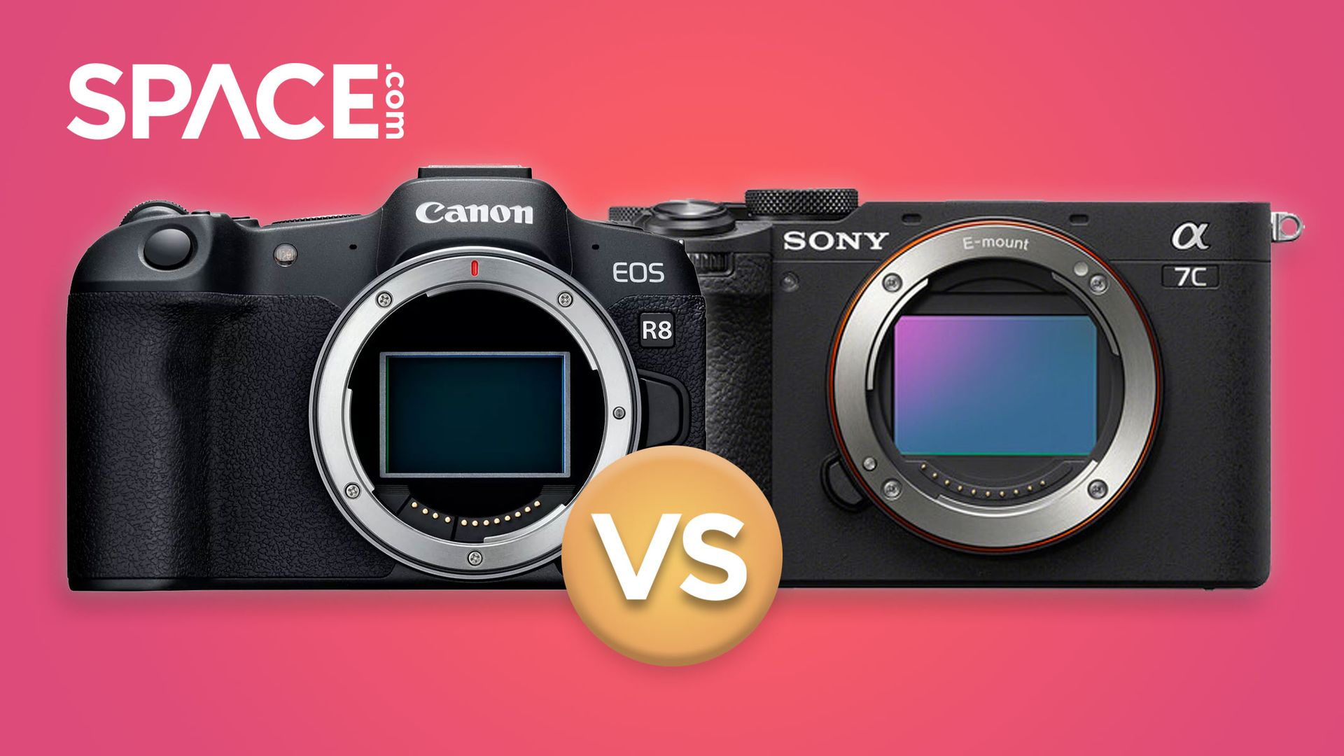 Comparison: Canon EOS R8 vs Sony A7C II | Space