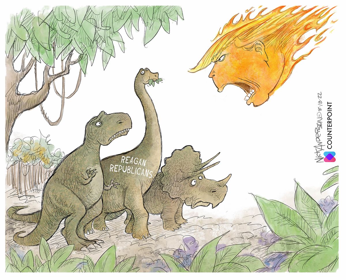 The orange comet | The Week