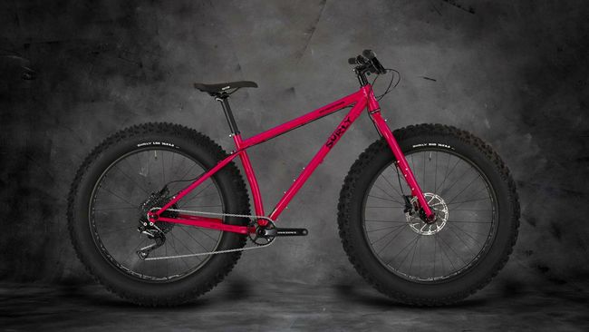 Best Fat Bike: our pick of the best bikes available this year | Bike ...