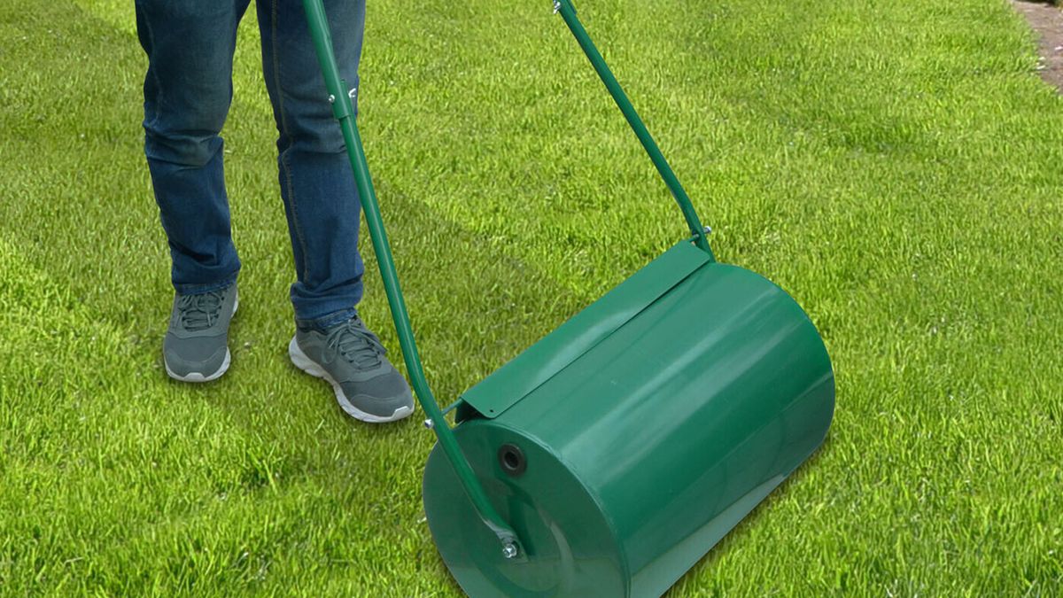 How to overseed a lawn | Top Ten Reviews