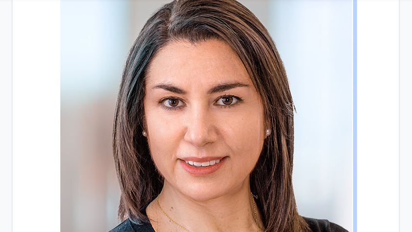 Diana Horowitz Hired as VP By Imagine Communications | Next TV ...