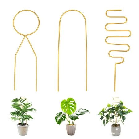 How and when to use a houseplant trellis to support plants | Homes and ...