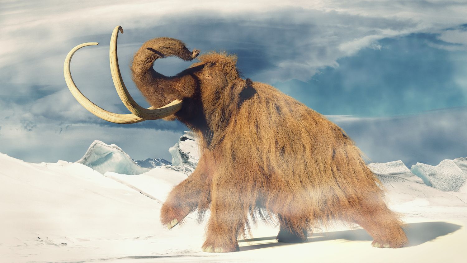 Mammoth DNA Briefly 'Woke Up' Inside Mouse Eggs. But Cloning Mammoths ...