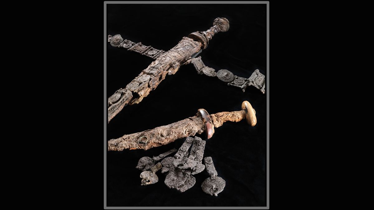 Roman-era skeleton found near Mount Vesuvius may be from famous rescue ...