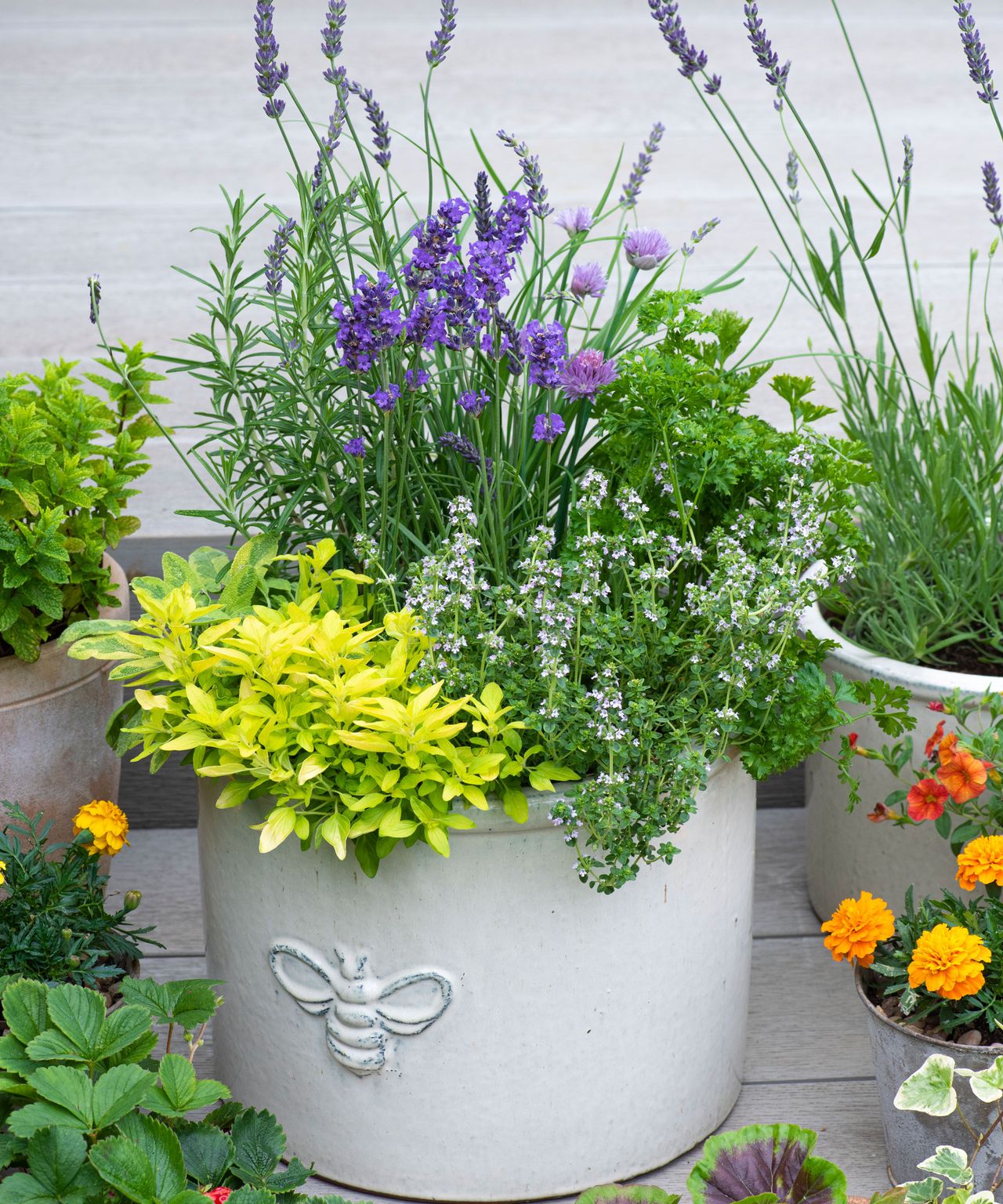 Summer container planting ideas: 11 seasonal looks | Homes and Gardens