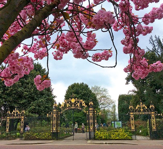 Beautiful pictures of Britain in springtime from Country Life's ...