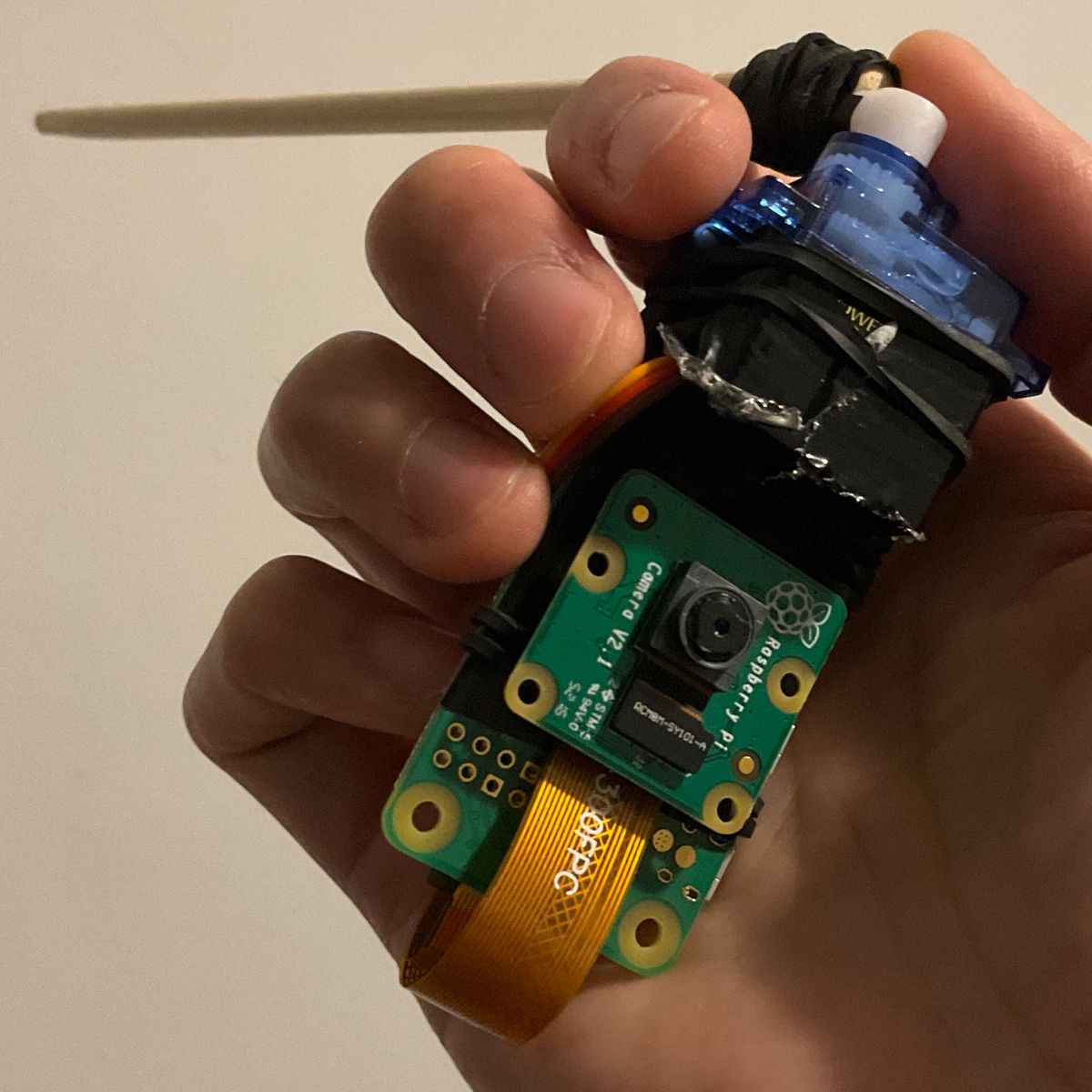 Raspberry Pi CatBot monitors for stray cats and texts you a photo | Tom ...